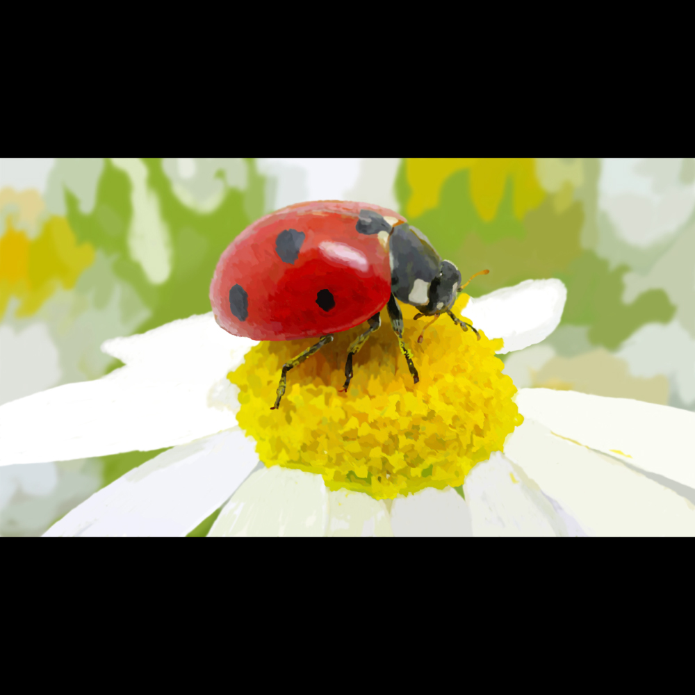 Photoshop Gallery | Wagner's Designs